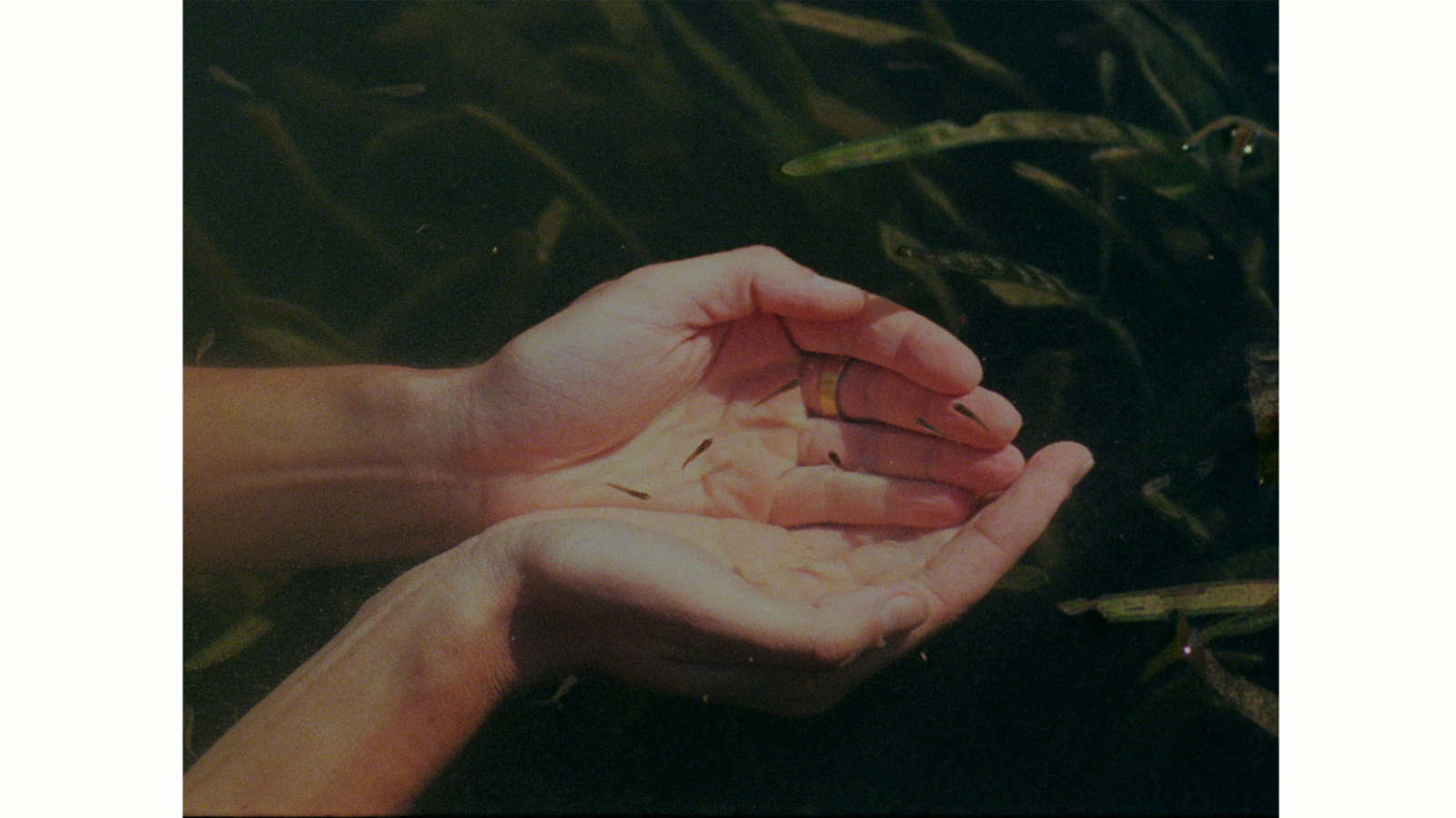 Inc. No World 'Living' - DUSTIN LANE