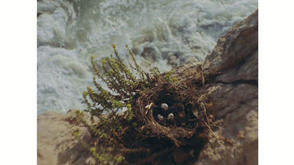 Inc. No World 'Living' - DUSTIN LANE