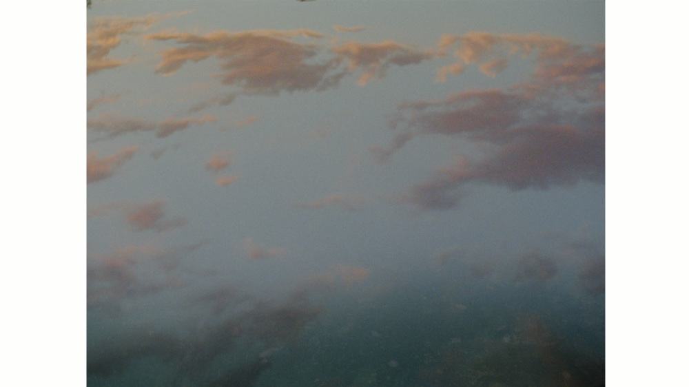 Inc. No World 'Living' - DUSTIN LANE