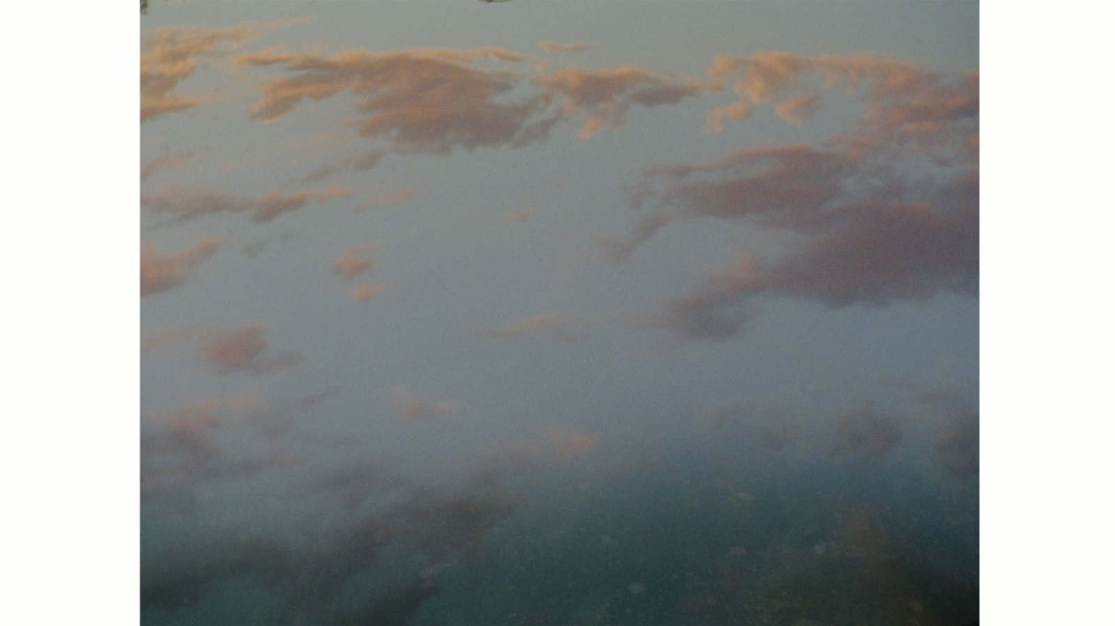 Inc. No World 'Living' - DUSTIN LANE