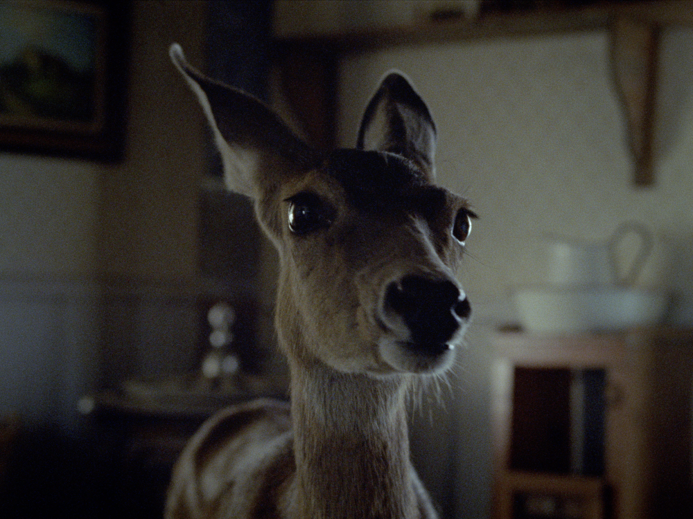 Monteagle 'June' - DUSTIN LANE