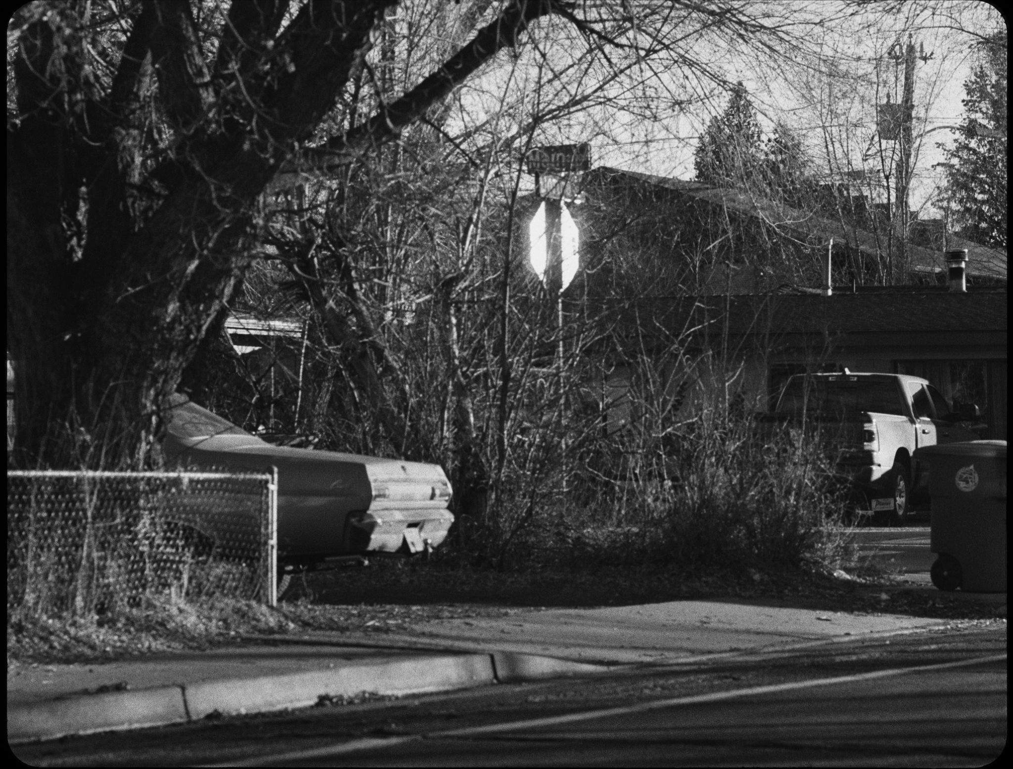 Monteagle 'Tan' - DUSTIN LANE