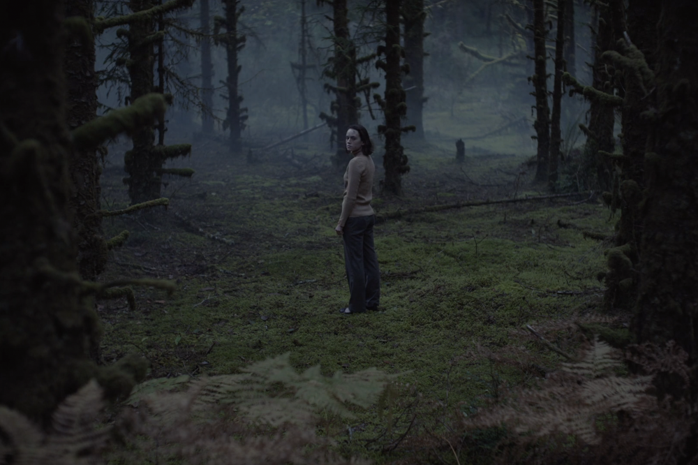 Sometimes I Think About Dying - DUSTIN LANE