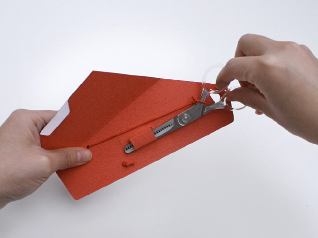 Scissor Packaging - yshen