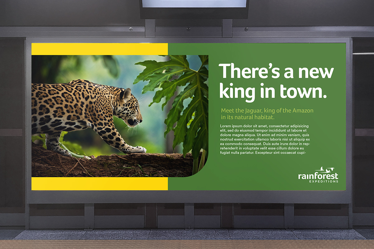 Rainforest Expeditions Brand Refresh - David Garcia | Design