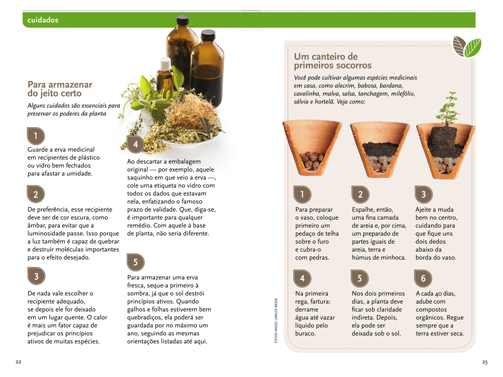 GUIA DE PLANTAS - ana paula megda • design