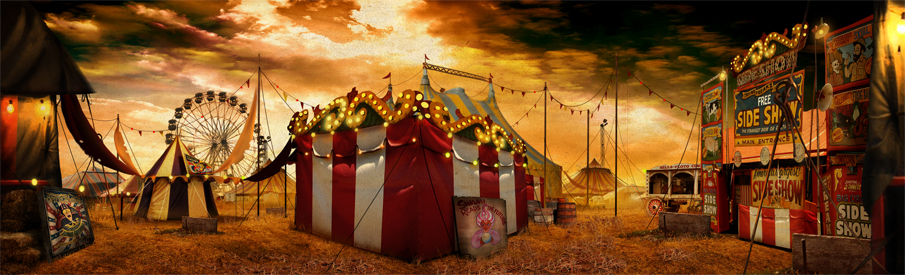 Circus - art of hawk