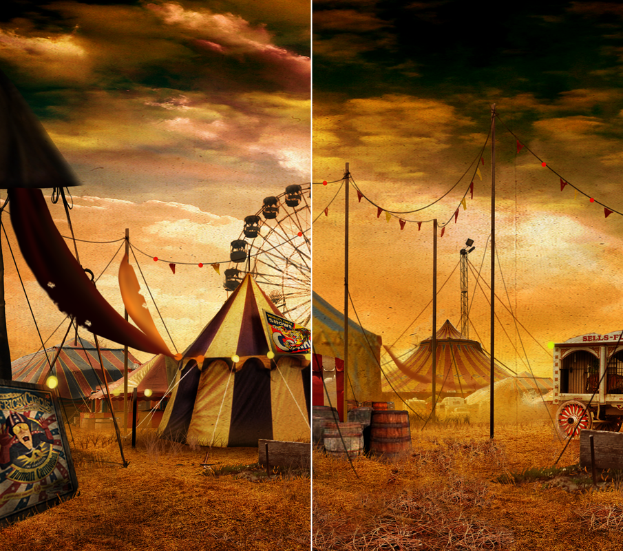 Circus - art of hawk