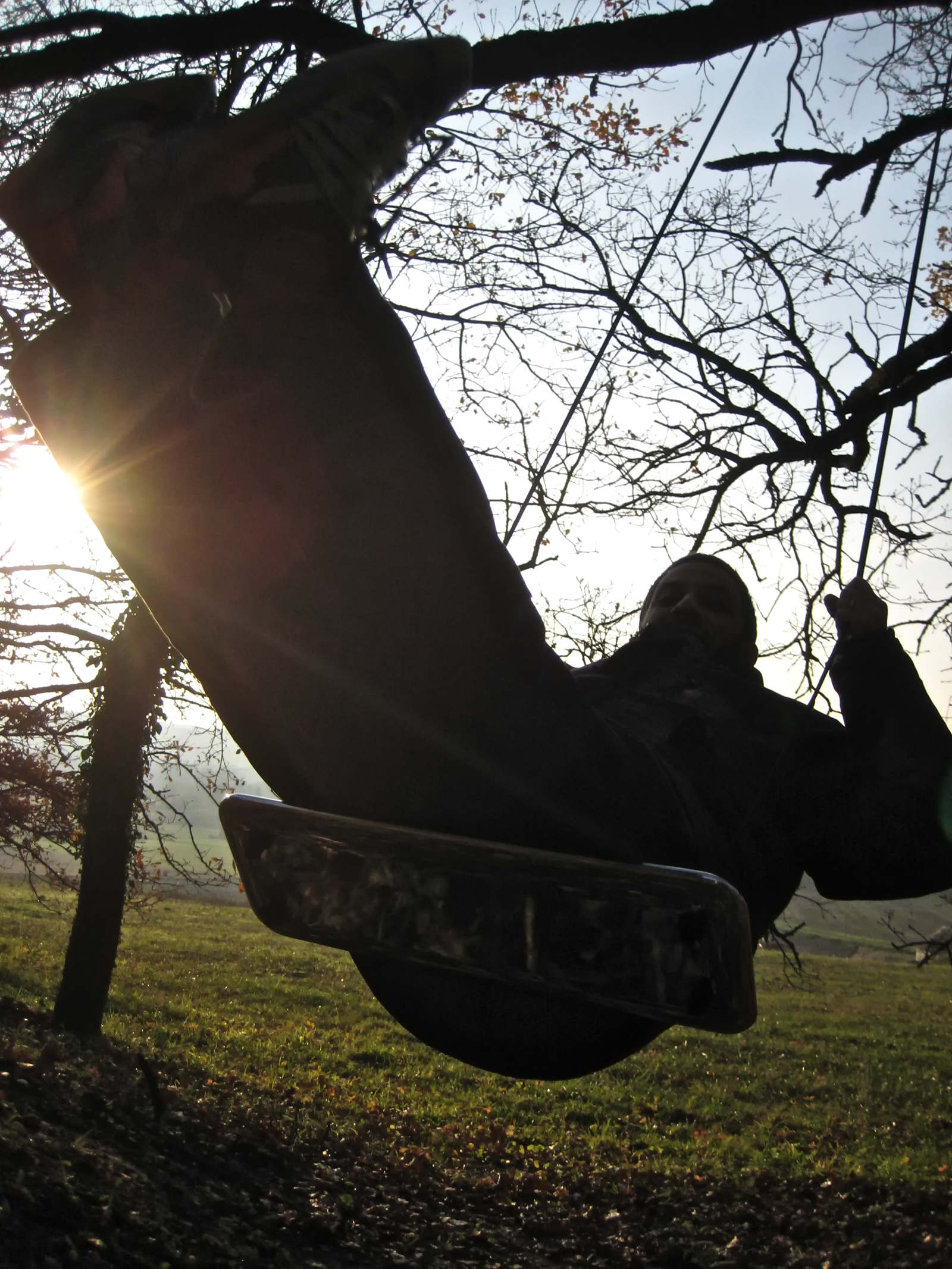 Reflected Phoenix - Thilo Frank