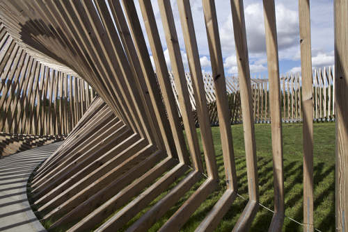 Thilo Frank - Thilo Frank