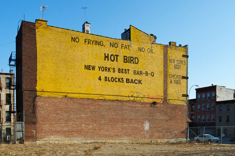 Hot Bird - Alchetron, The Free Social Encyclopedia