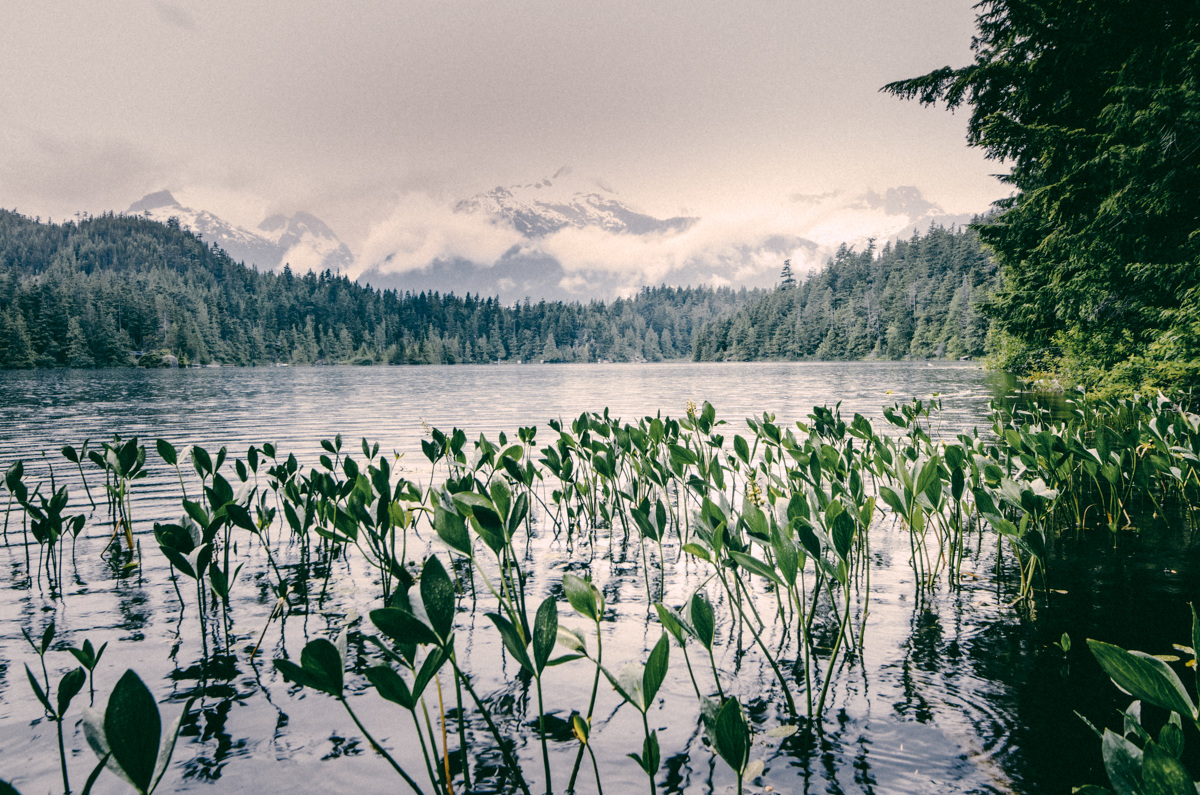 Levette Lake + UP KNÖRTH - Circa 1983 - The Photo Roll of Owen Perry