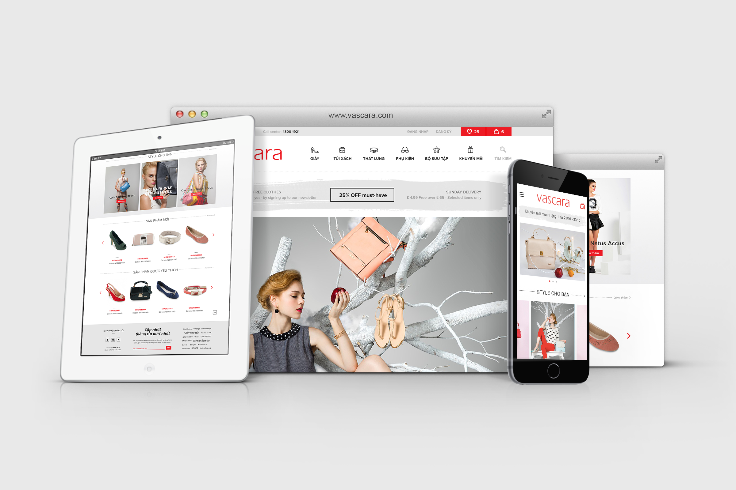 Vascara Website - hoathi design co.