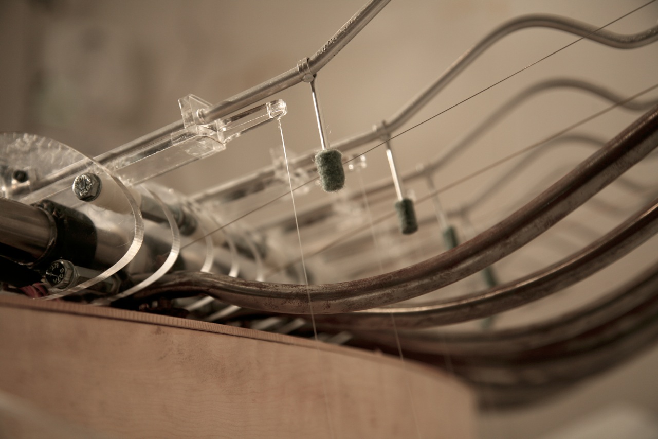 Irregular Incurve - XY Studio