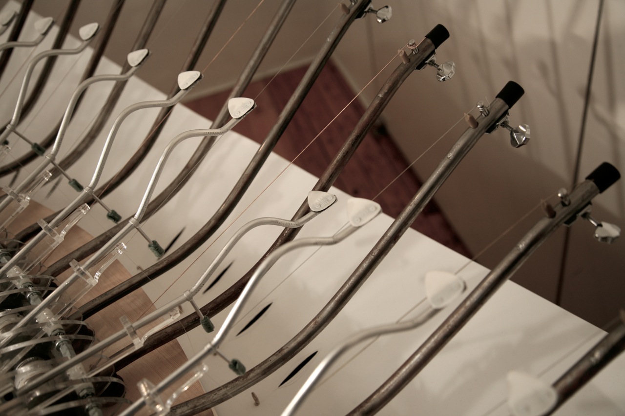 Irregular Incurve - XY Studio