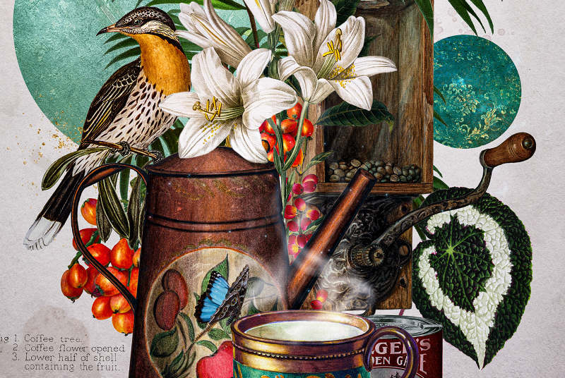 UrbanCowboy | Artwork of Patrick Boyer
