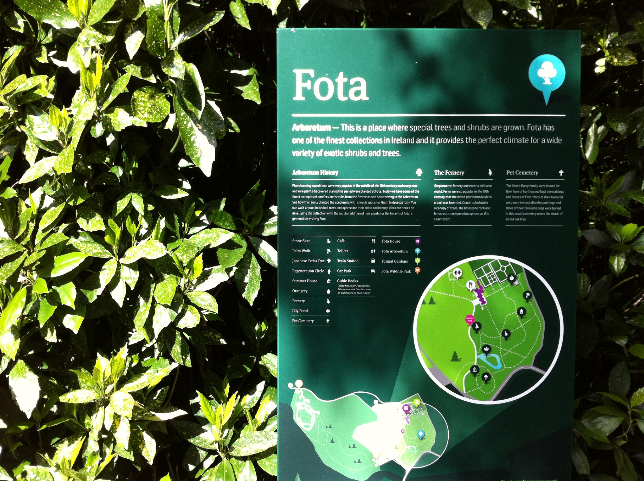 Fota Signage - sally | portfolio