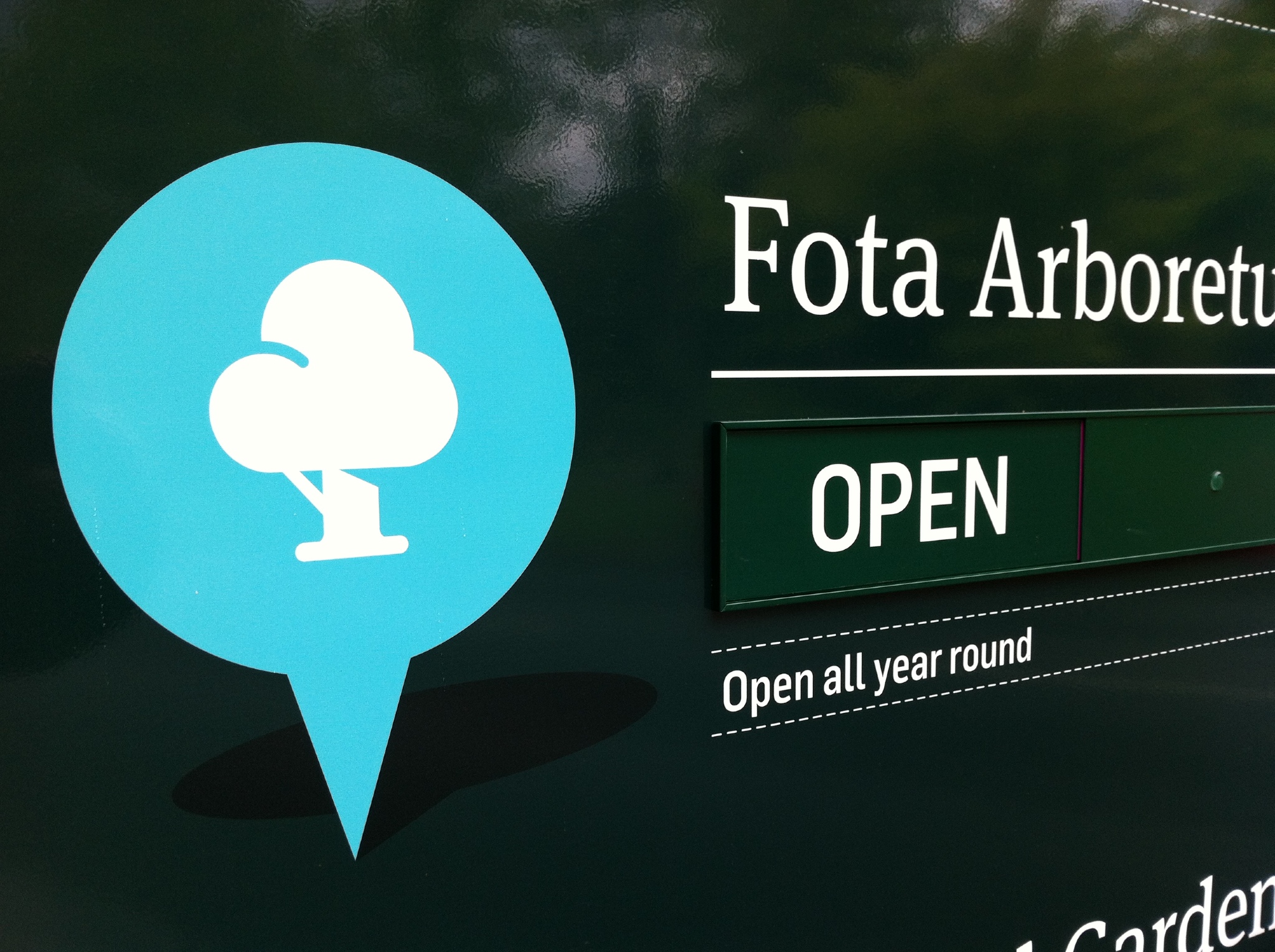 Fota Signage - sally | portfolio