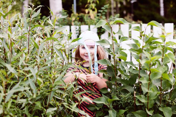 johannesromppanen.com - Images