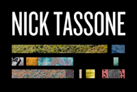 Nick Tassone - Visual Designer