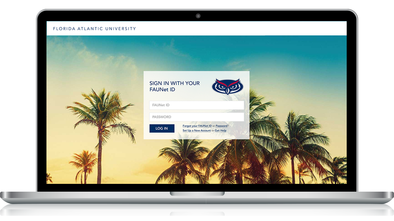 Various FAU Digital Campaigns - Melissa Newball