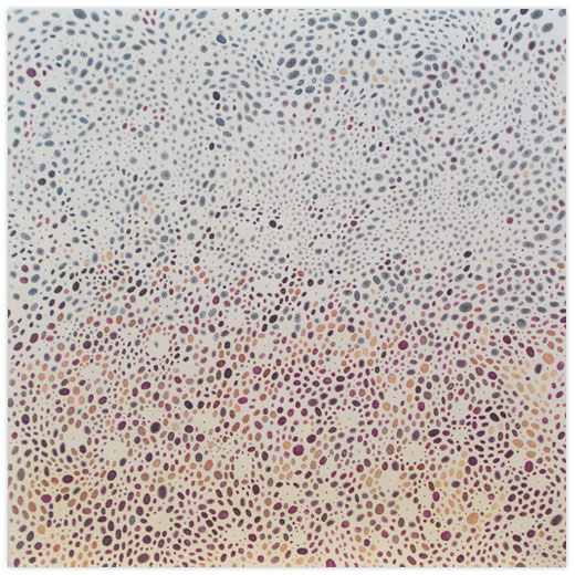 Squid skin - Assaf Iglesias