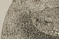 Heavy ones - Assaf Iglesias