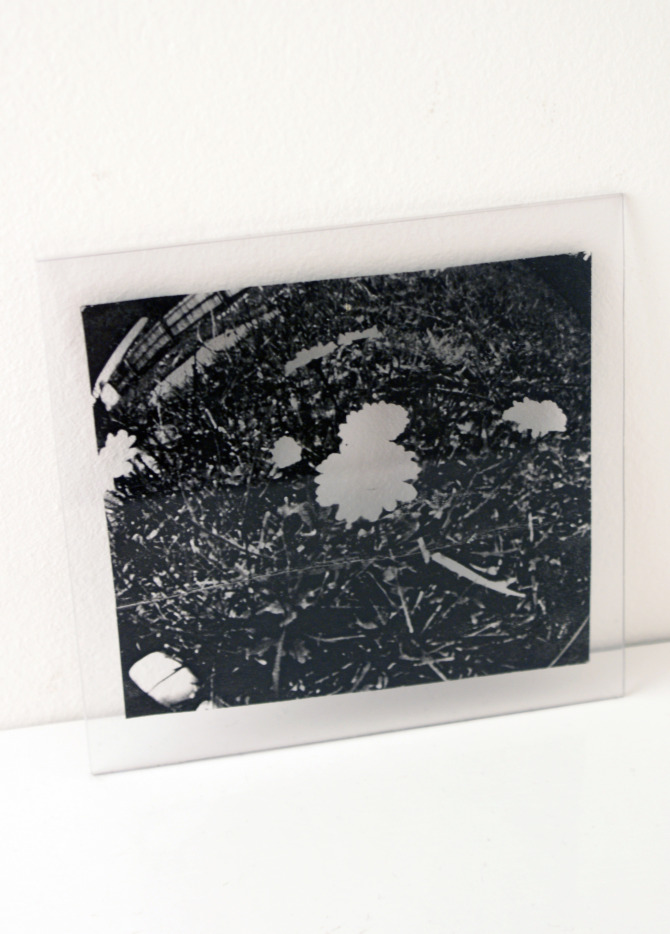 Splice Mail Art - Illustration, Art, Photography, Richie Lee