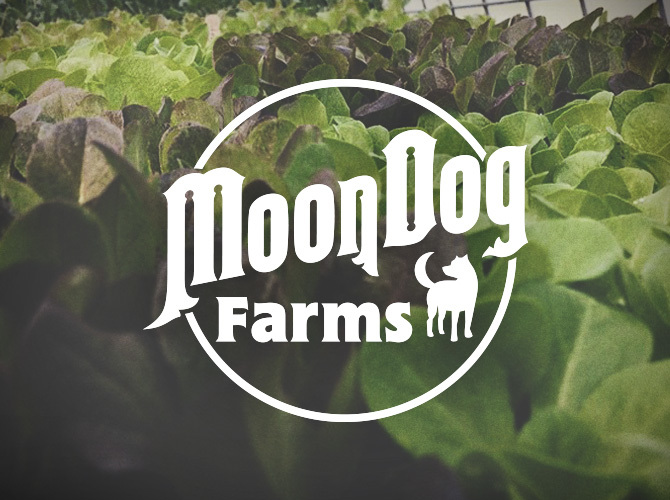 Moon Dog Farms - The Portfolio of John V. Bosco