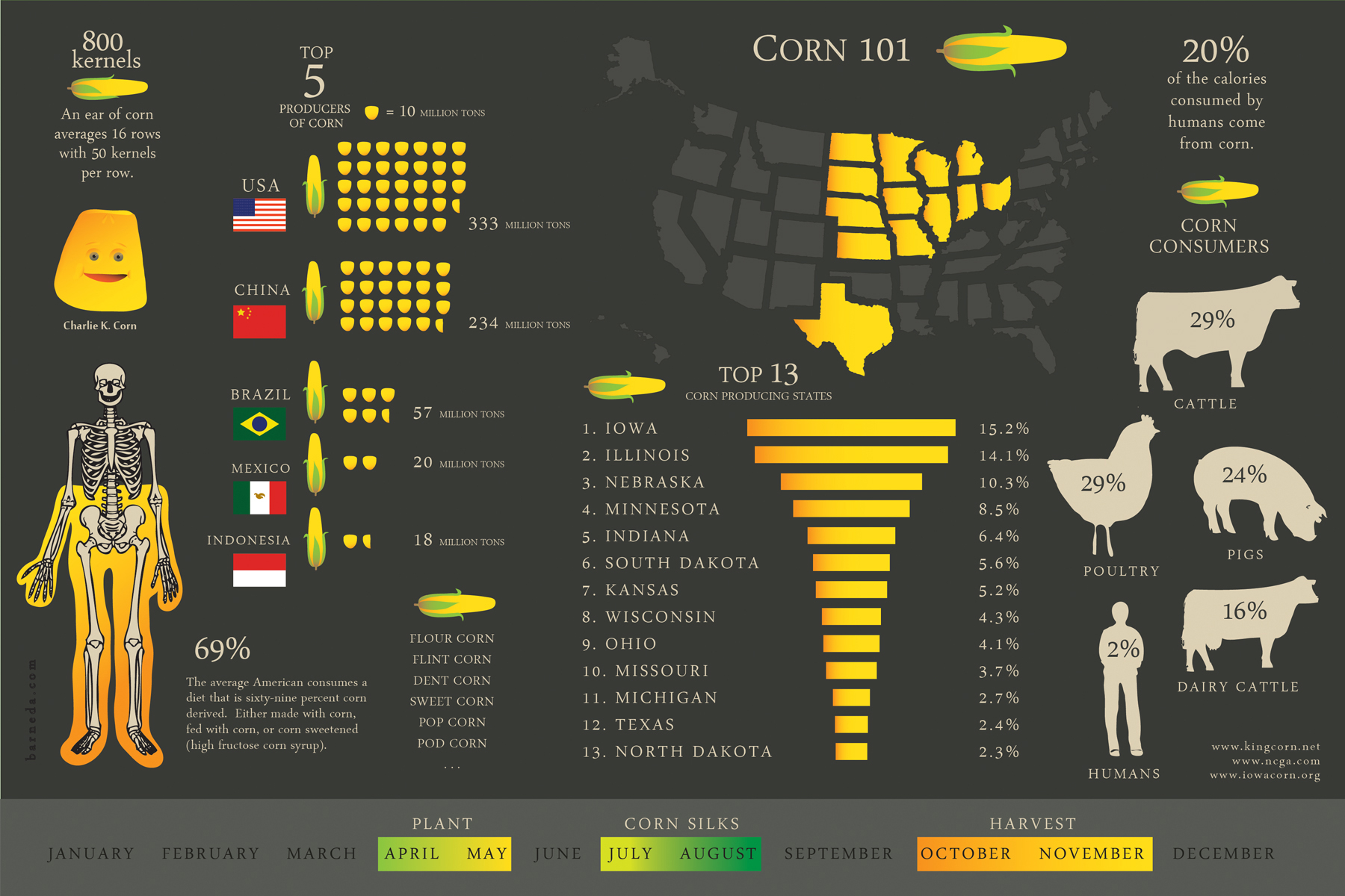 Corn & Beef infographics - The Art of David Barneda