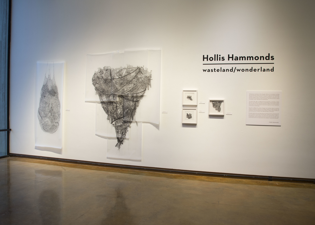 wasteland/wonderland - Hollis Hammonds