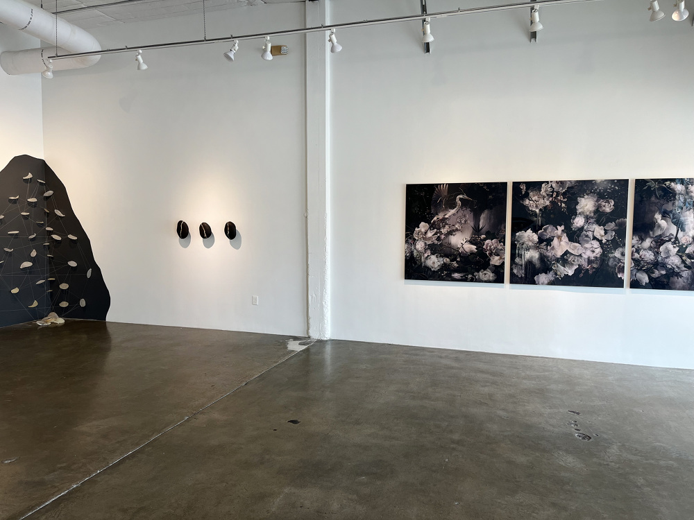 Objects of Affection - Hollis Hammonds