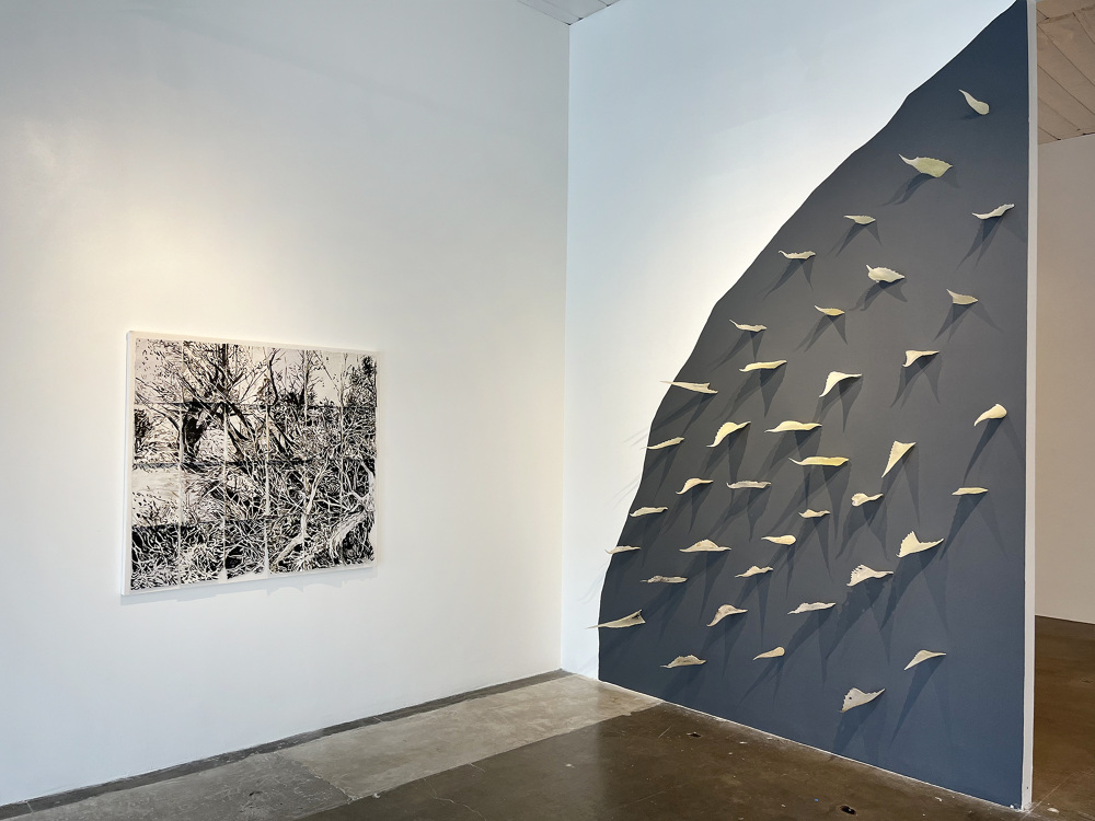 Objects of Affection - Hollis Hammonds