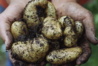 Andrew Dunford Industrial Design