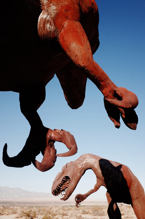 Photographie - Thierry Greber