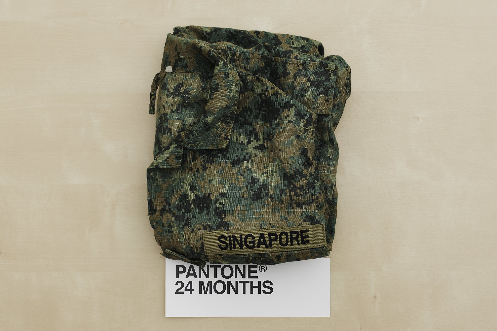PANTONE® ARMY - amosyong.