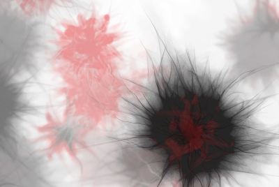 Dane Webster - computer animation