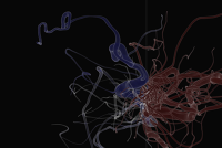 Dane Webster - computer animation