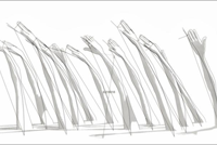 Dane Webster - computer animation