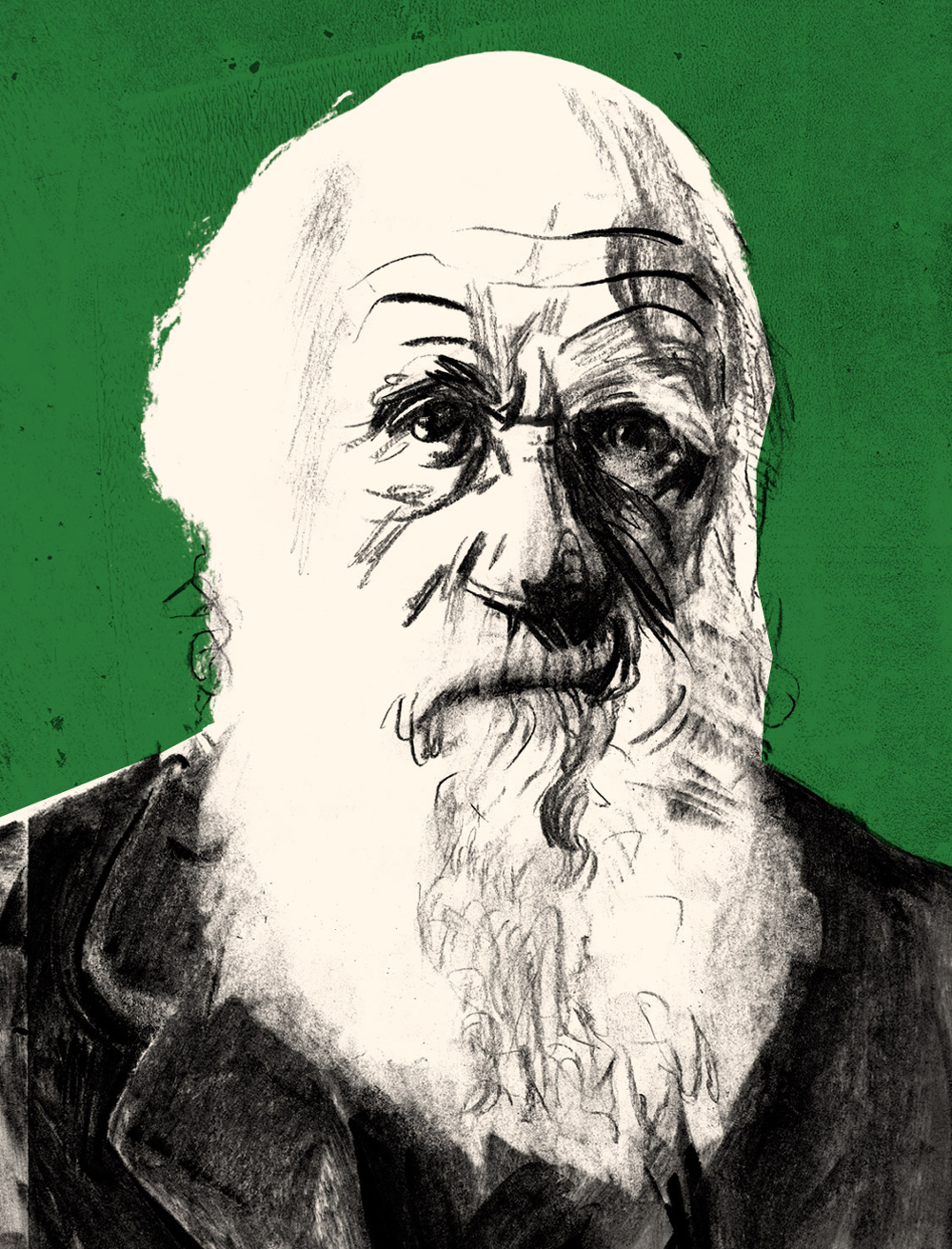 Alexander App Portraits - Diego Mallo