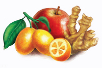 Packaging Illustration - kuanth