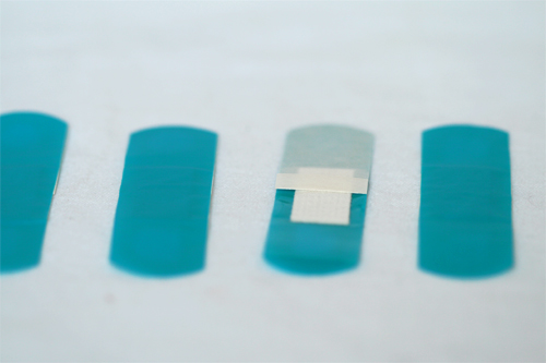 collections - fanny zanotti