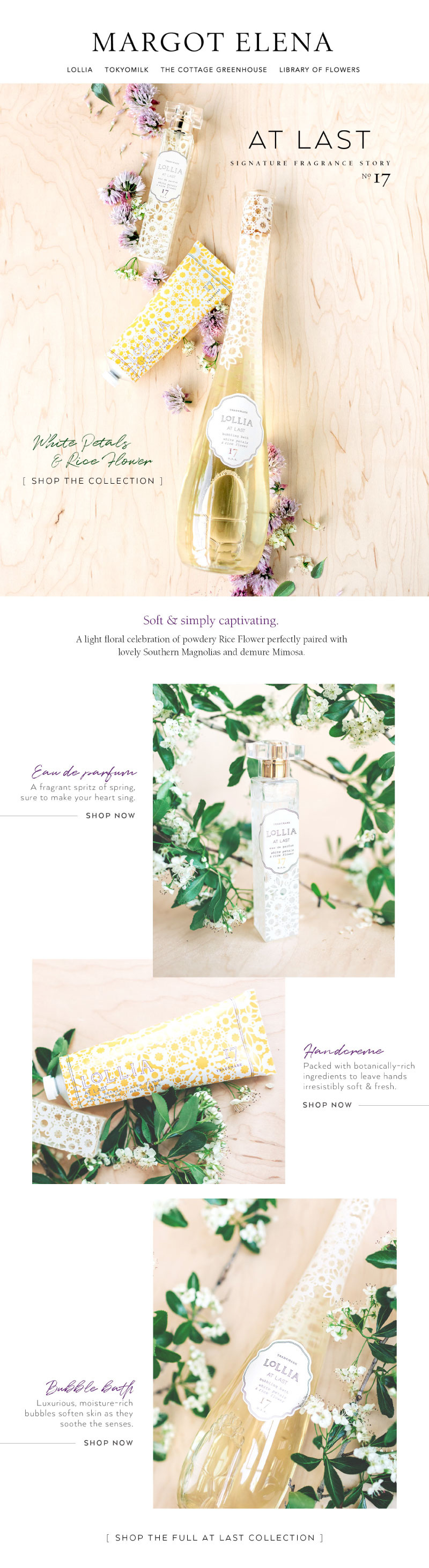 Lollia Marketing - Amanda Schuler