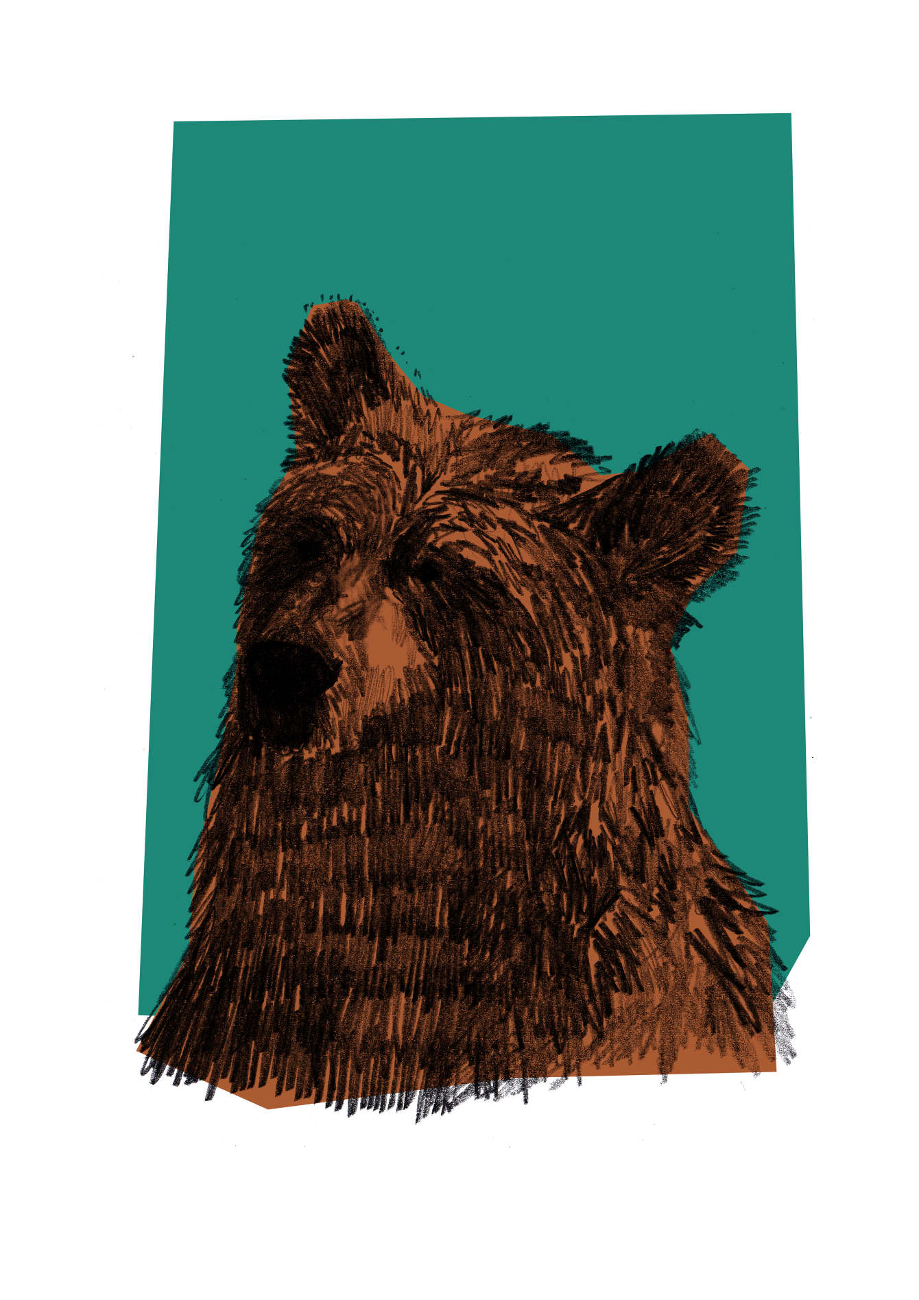 La senda del Oso. Asturias. - Willy Ollero