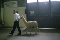 Ross Evertson, Photographs