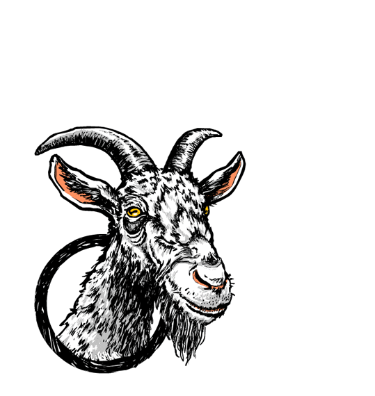 Some Bode to Love - guma