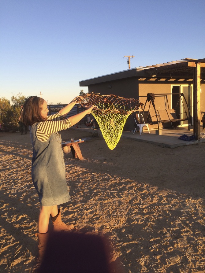 The Drone Catcher Laurenaross