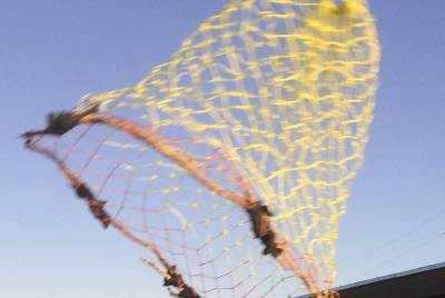 The Drone Catcher - laurenaross