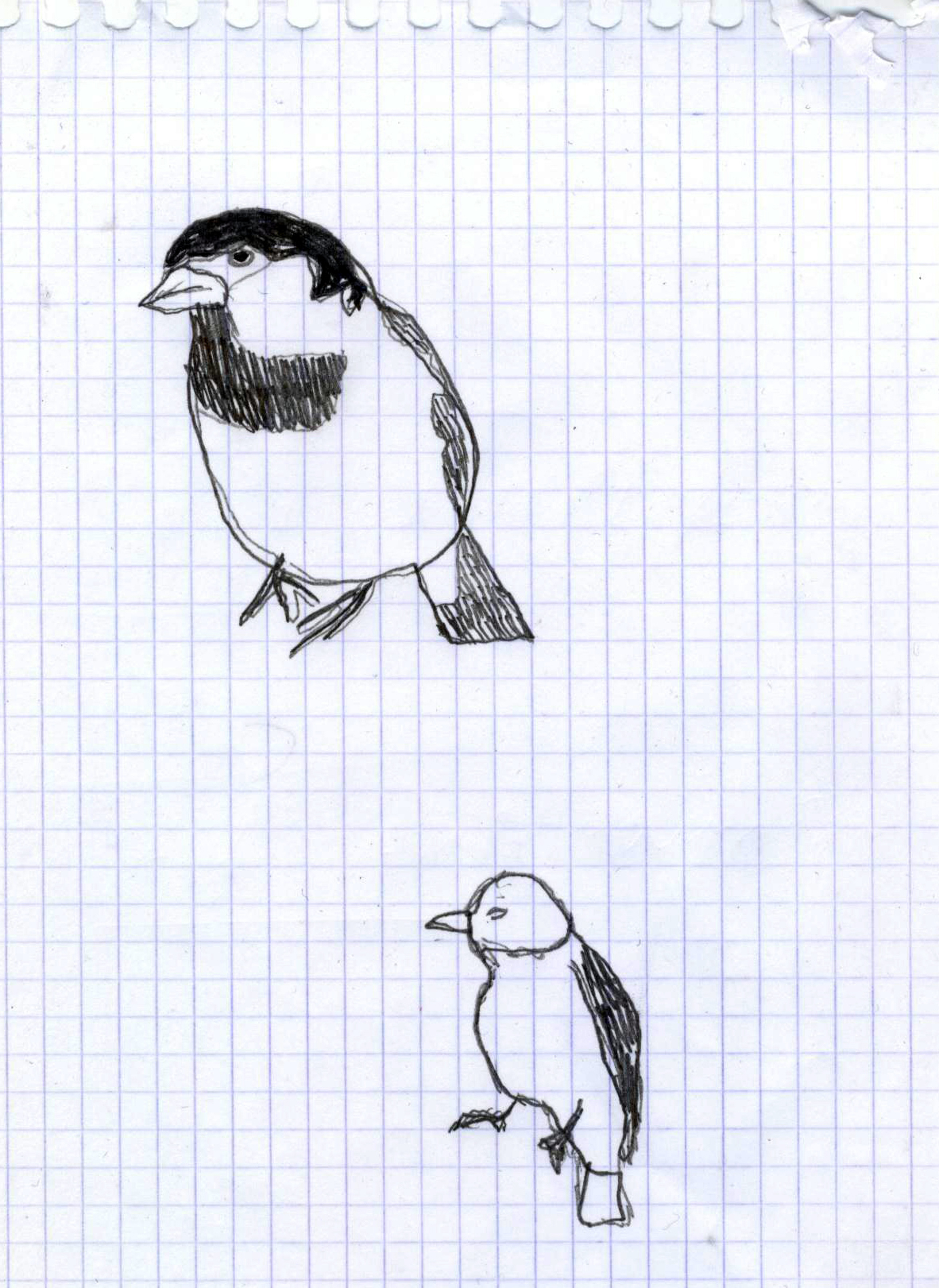 On Paper - Craig Atkinson