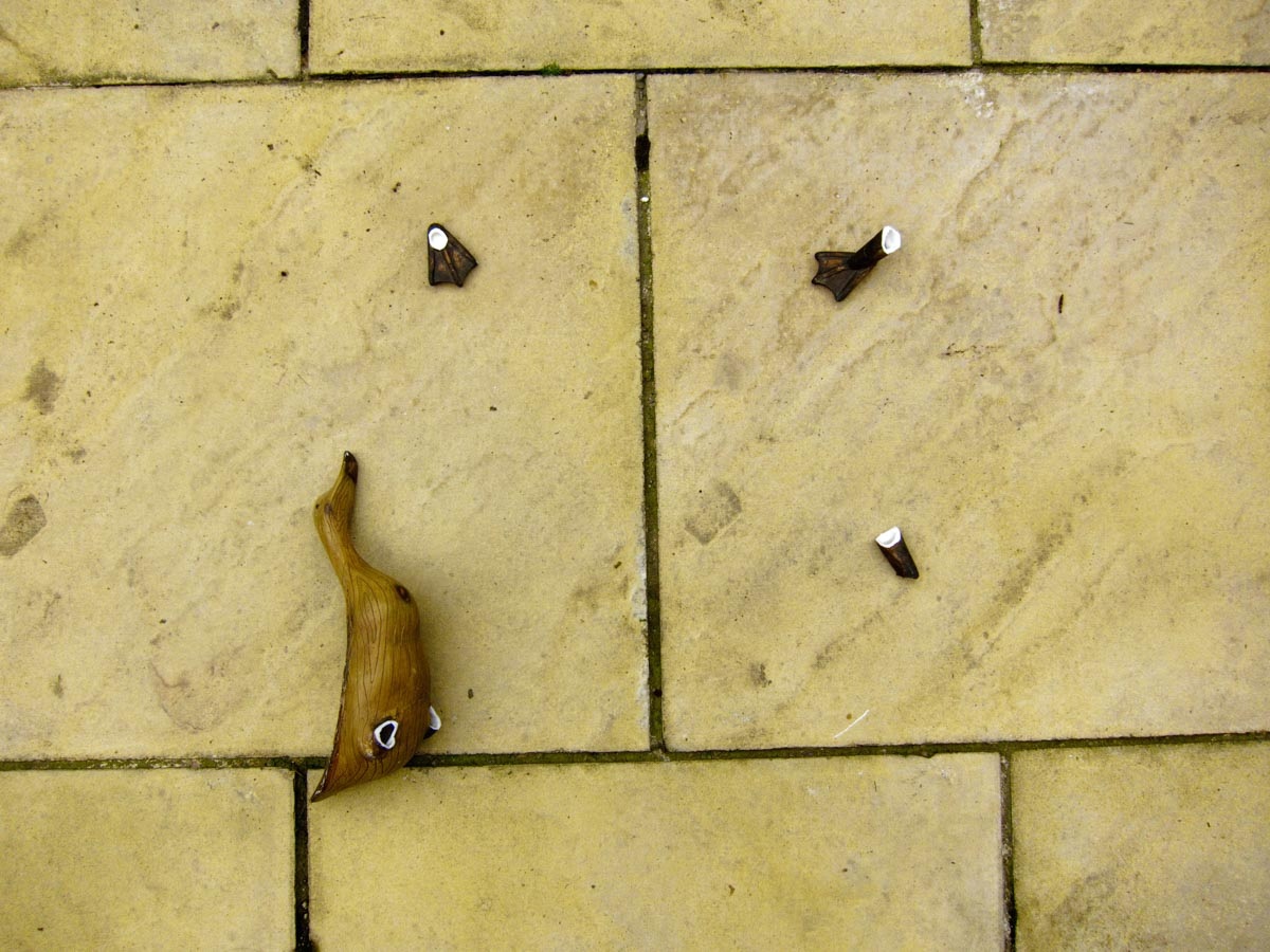 Colour - Craig Atkinson